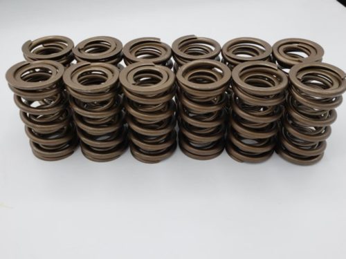 12 Valve Dual Valve Springs