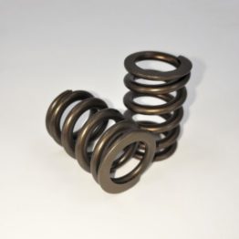 110 Valve Spring set for 24valves – Hamilton Cams